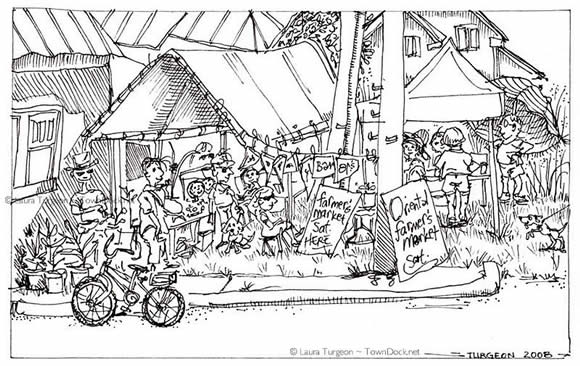 The Farmer's Market | Drawing The Town, Artist Laura Turgeon | TownDock ...