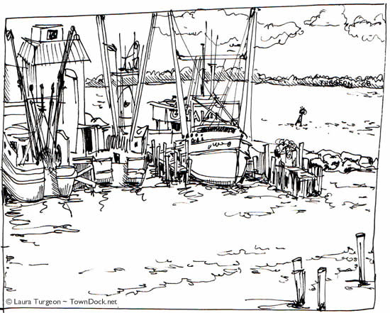 Fleet In The Harbor | Drawing The Town, Artist Laura Turgeon | TownDock ...