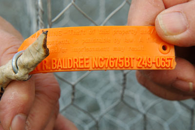 Crabpots | Ben Casey Photo Essay | TownDock.net