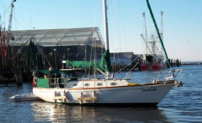 TARSHISH | The Shipping News | TownDock.net, Oriental NC